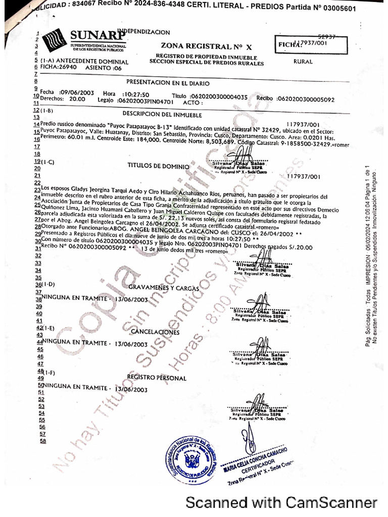 copia literal de dominio ejemplo | PDF