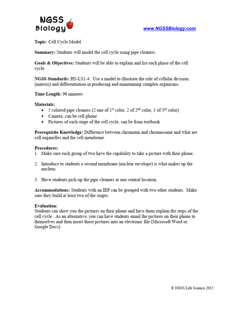 Cell Cycle Model | PDF