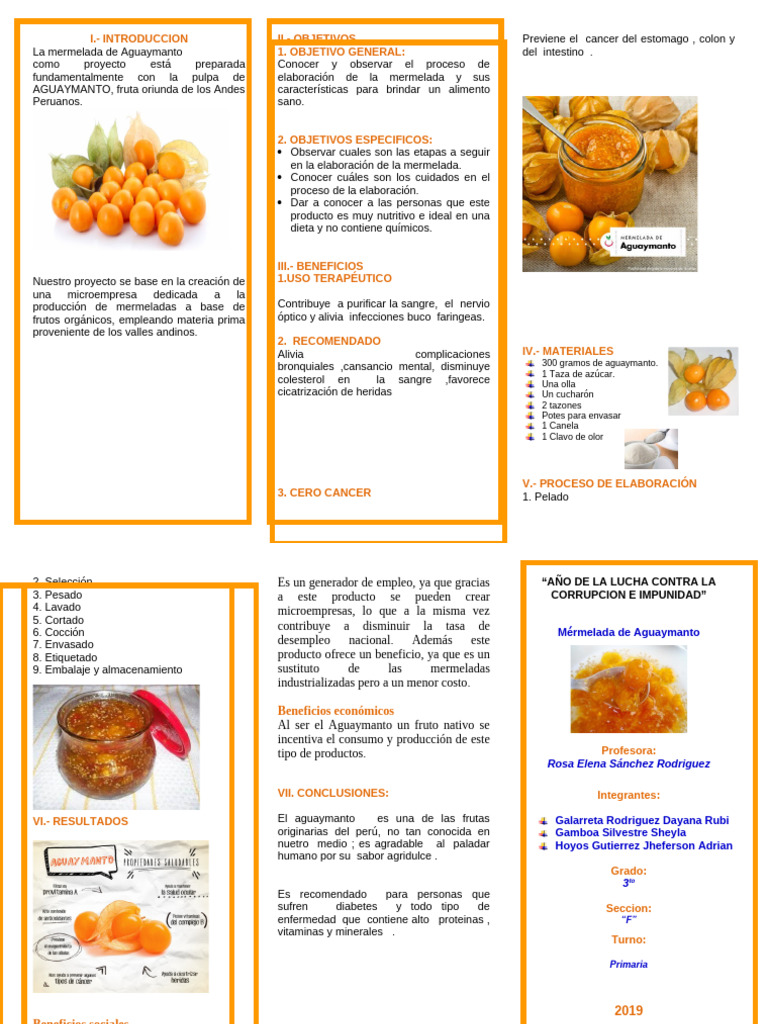 TRIPTICO Mermelada de Aguaymanto | PDF