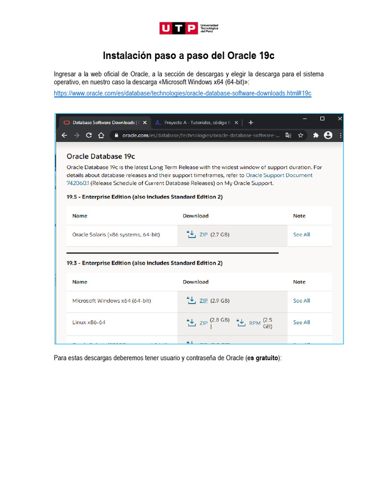 Instalación Paso A Paso Del Oracle 19c | PDF