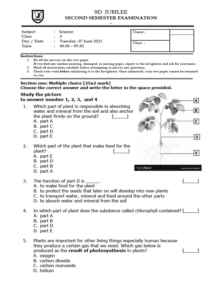 Science 3 EXAM - 21-22 Sem 2 | PDF