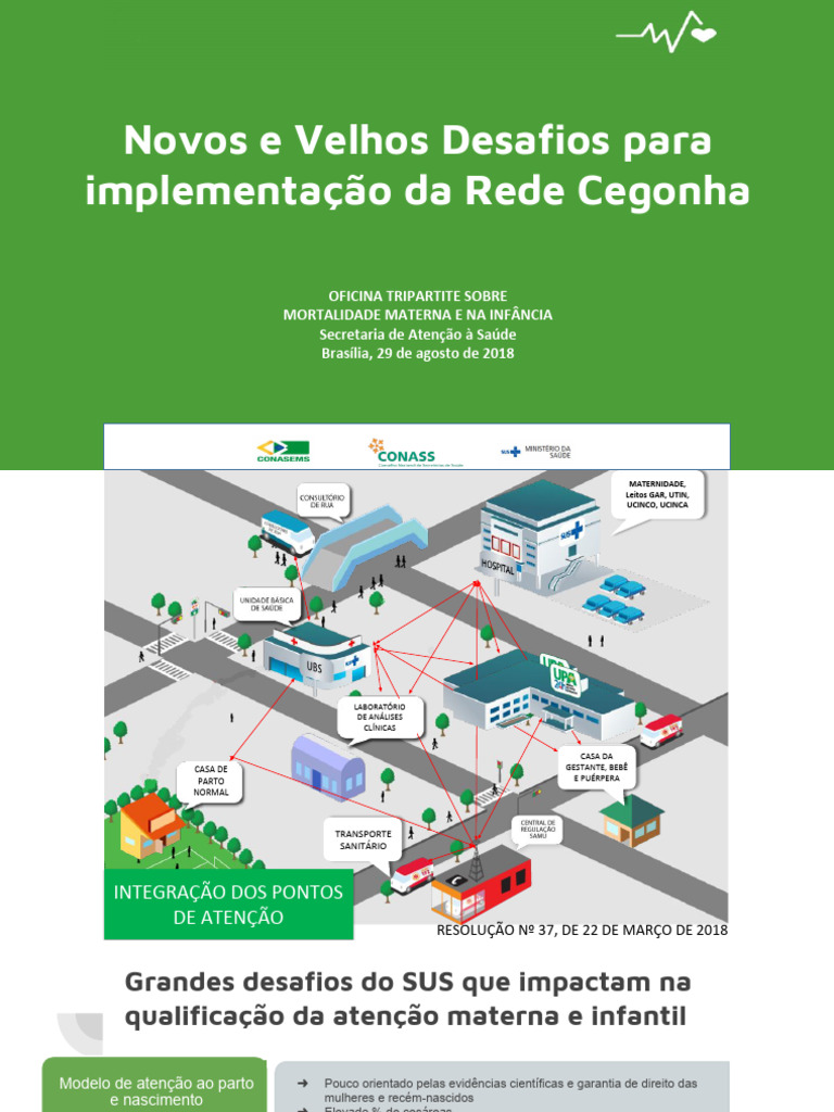 Oficina Mortalidade Materna e Infantil Cti Mesa Dapes Dab | PDF