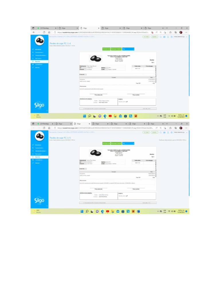 Soportes Contables Siigo Pdf