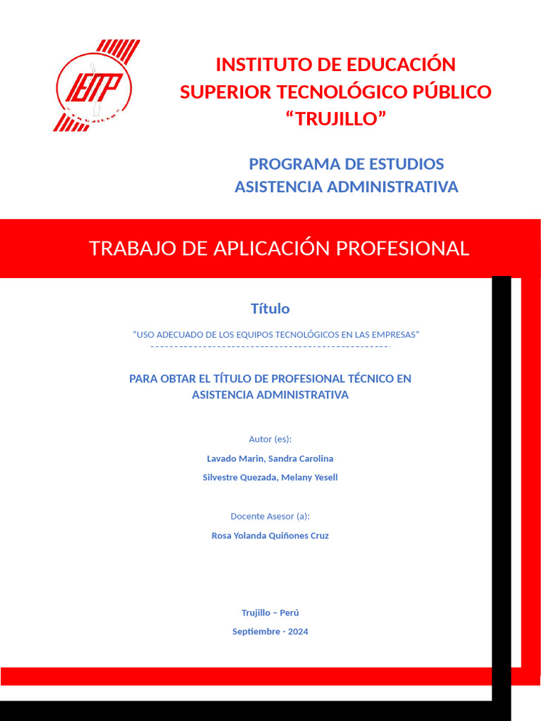 Informe - Titulo Profesional 2 | PDF