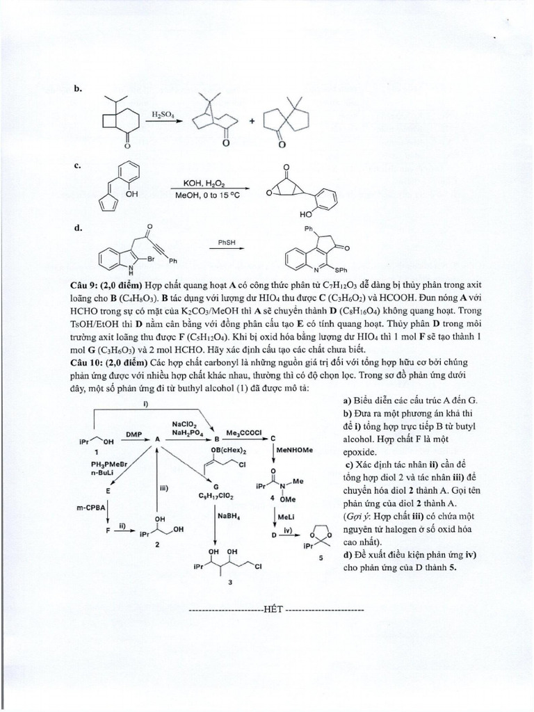 HSG Trư NG NT | PDF
