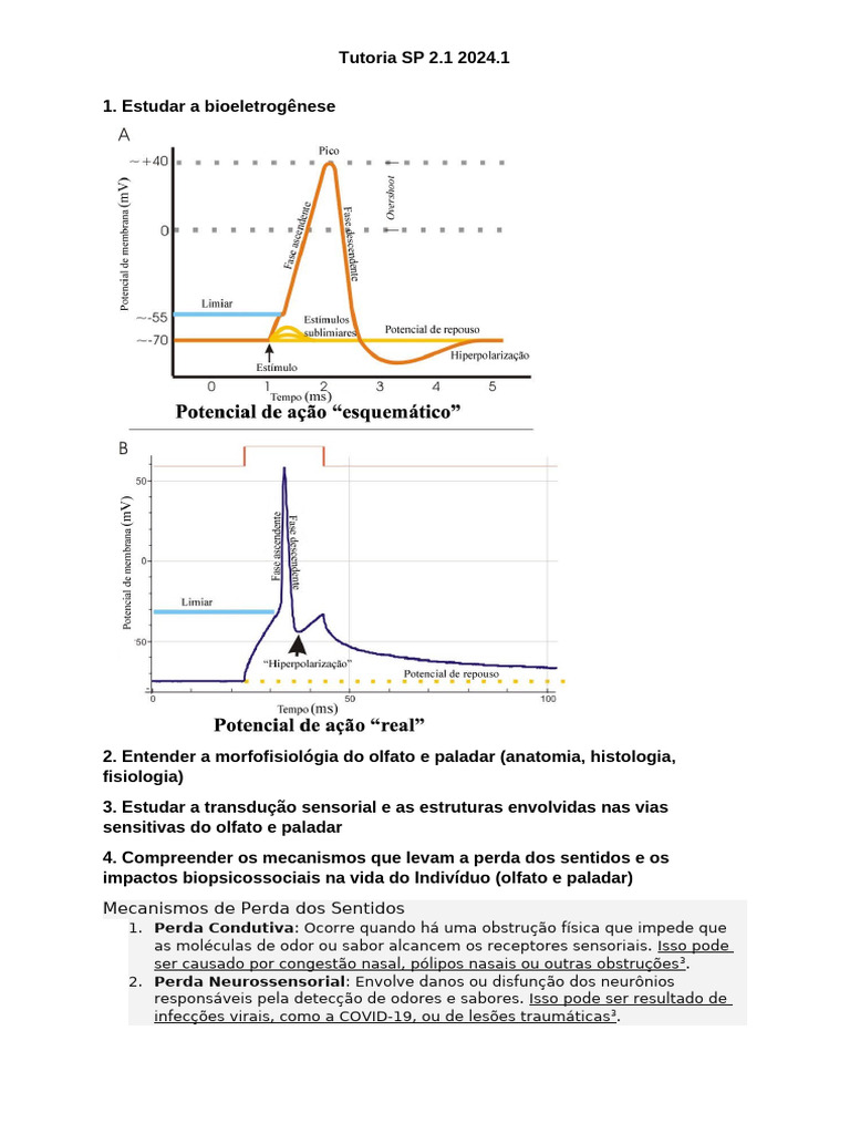 Tutoria SP 2.1 NCS 3 | PDF
