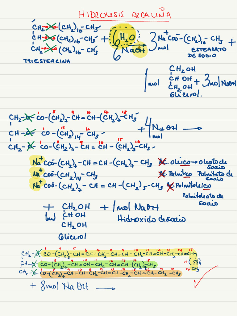 Bioquimica 1 Clase 09-09-2024 (1) | PDF