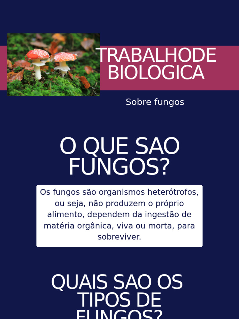 DOC-20240321-WA0002 | PDF