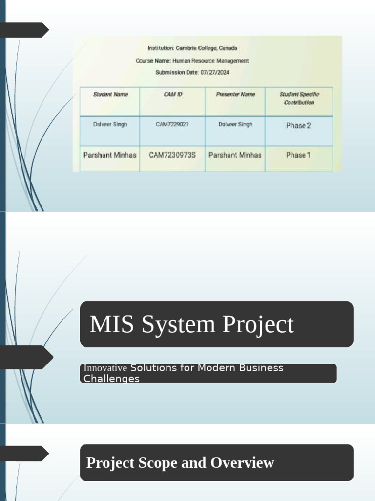 MIS System PPT - 2 | PDF
