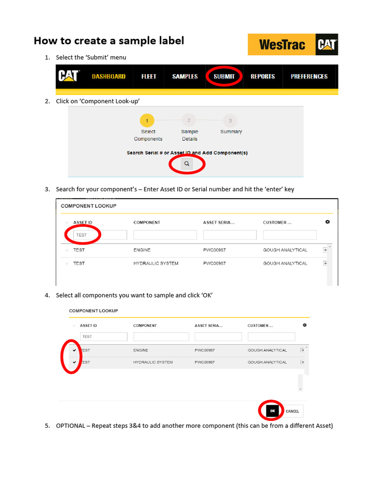 Document Cat Sos How To Create Sample 72020 | PDF