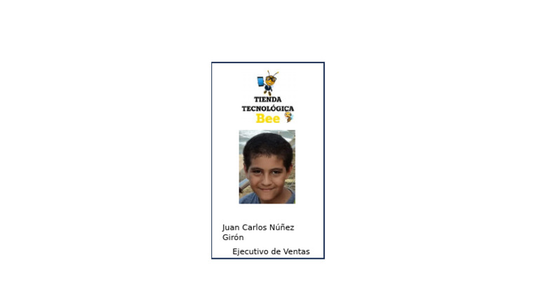 Template de Carnet | PDF