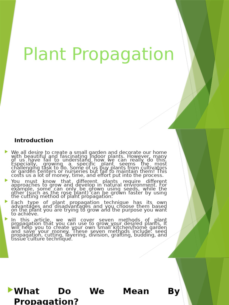 Plant Propagation PPT | PDF