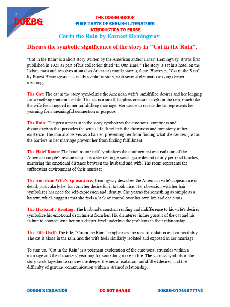 Cat in The Rain by Earnest Hemingway Broad Short Questions | PDF