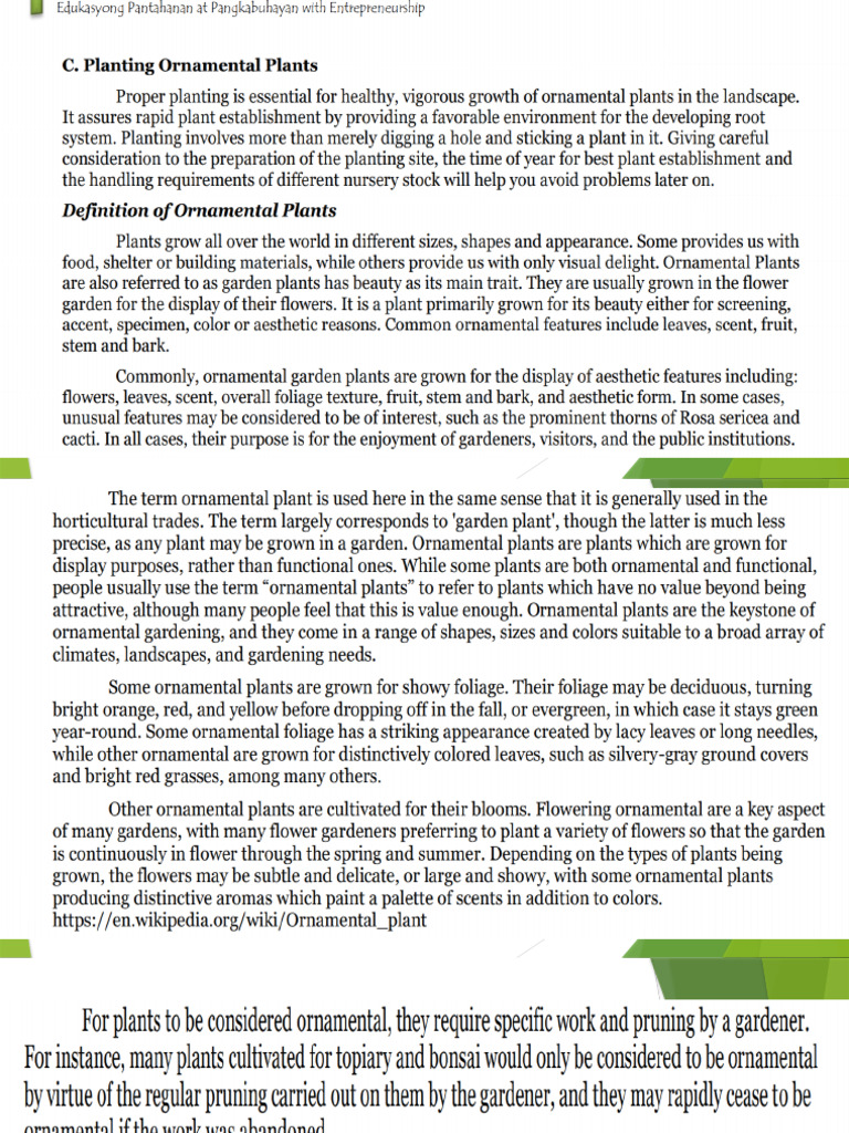 Ornamental Plants Ppt | PDF