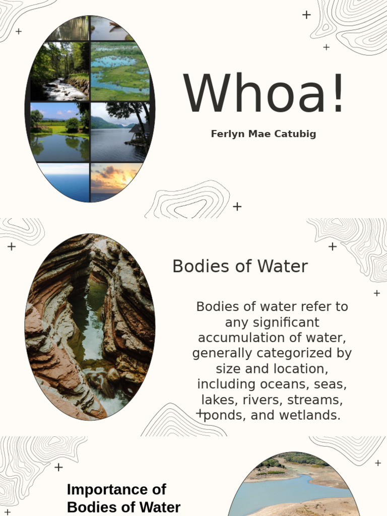 Bodies of Water | PDF