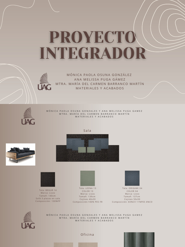 A17 Proyecto Integrador | PDF