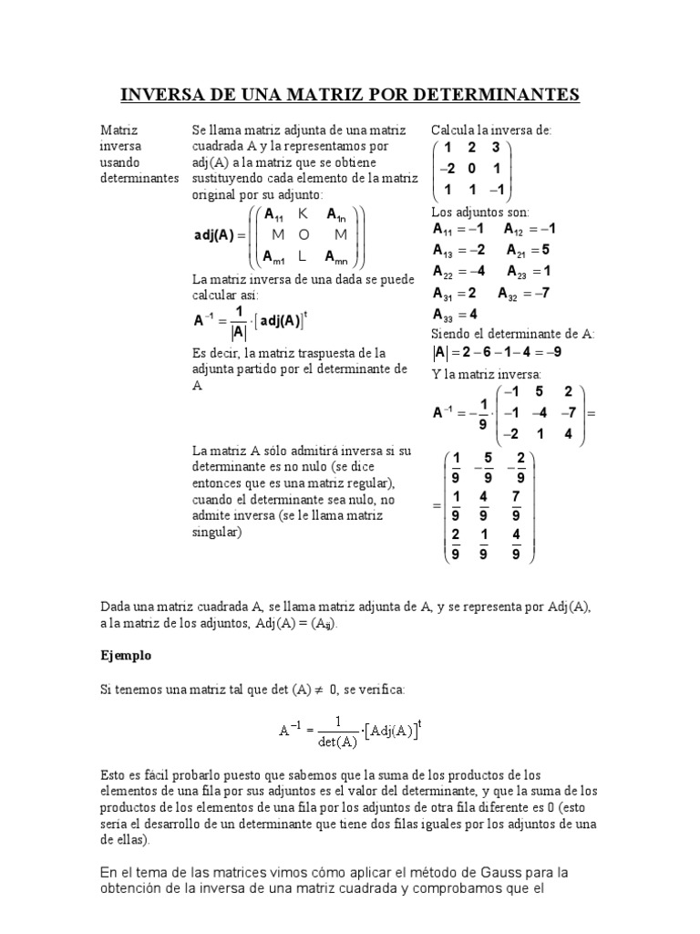 Algebra Lineal (Matriz Inversa Por Deter Min Antes) | PDF ...