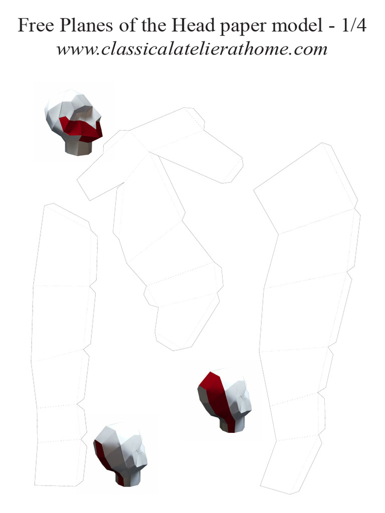 Free Planes of The Head Paper Model For Artists | PDF