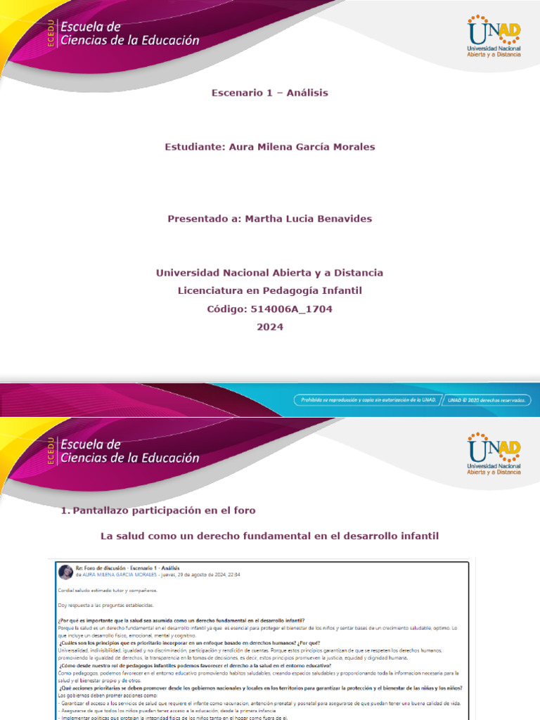 Anexo 1 - Formato Escenario 1 - Análisis | PDF