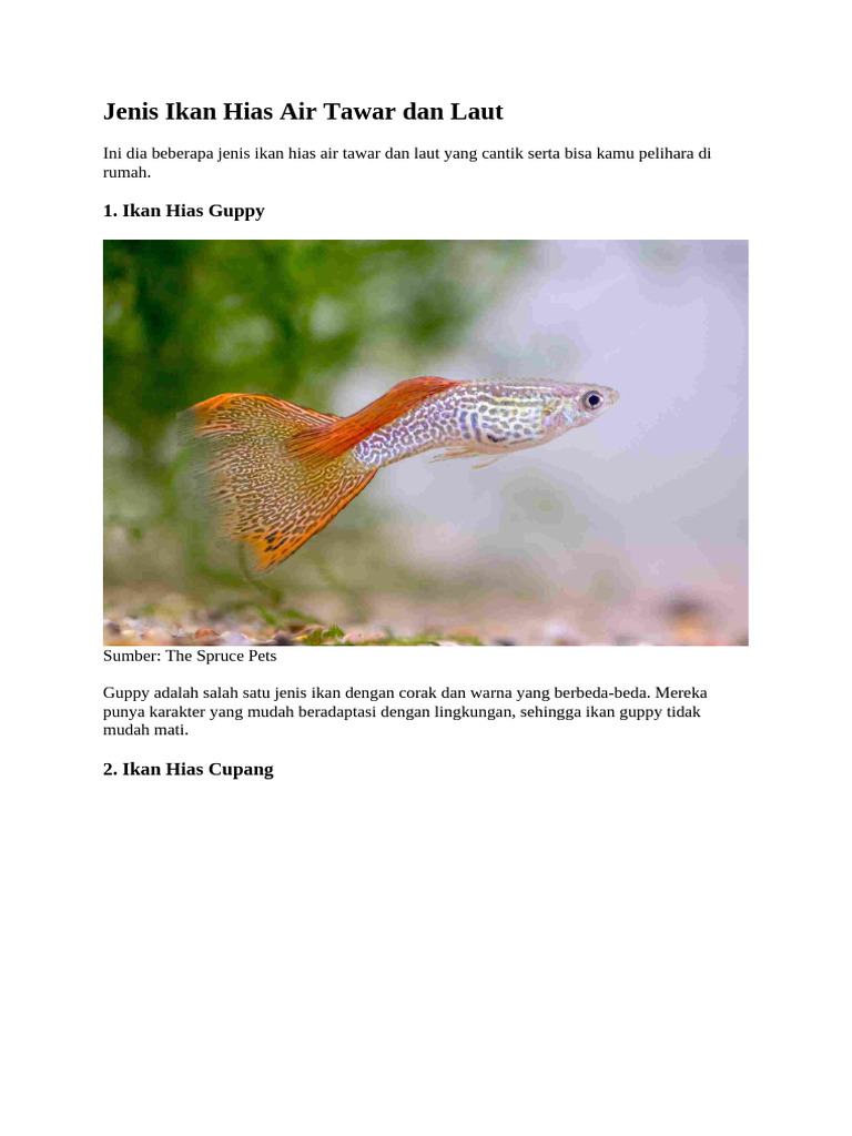Jenis Ikan Hias Air Tawar Dan Laut | PDF