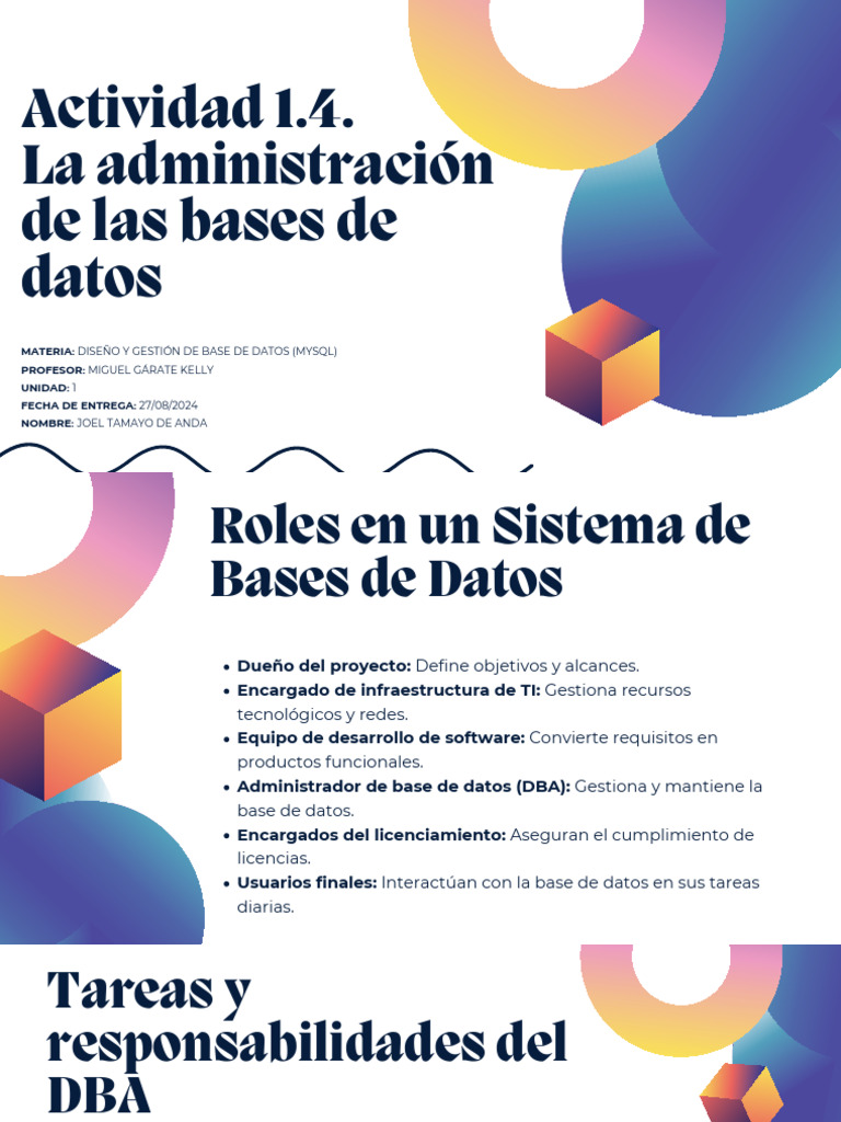 La Administración de Las Bases de Datos | PDF