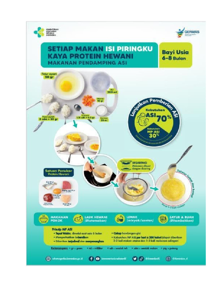 Leaflet Mp-Asi | PDF