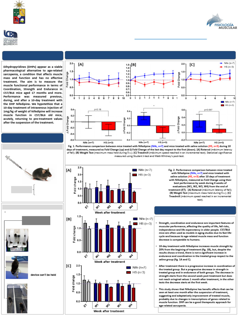 Ejemplo Póster Científico | PDF