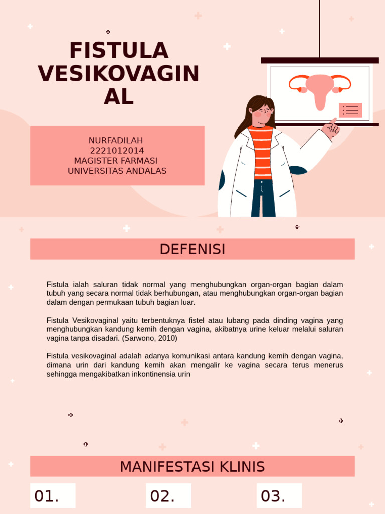 Fistula Vesikovaginal | PDF
