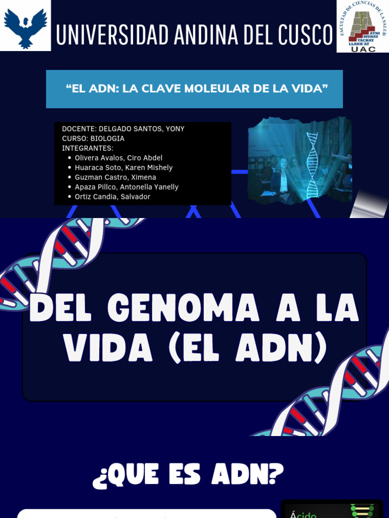 El Adn La Clave Molecular de La Vida | PDF | Adn | Gene