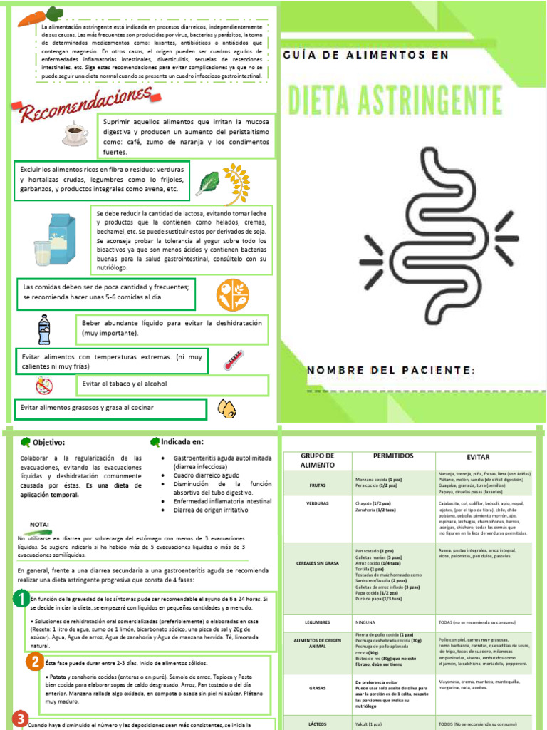 Guia de Alimentos en Dieta Astringente 2022 | PDF | Alimentos ...