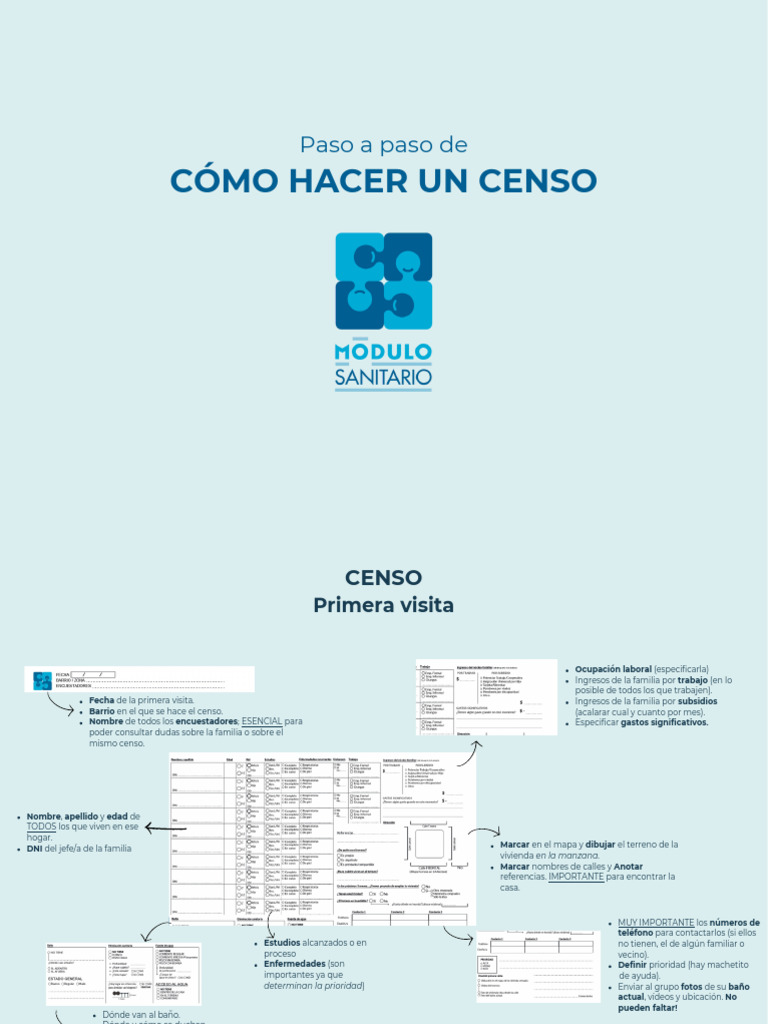 Guía de Cómo Hacer Un Censo | PDF