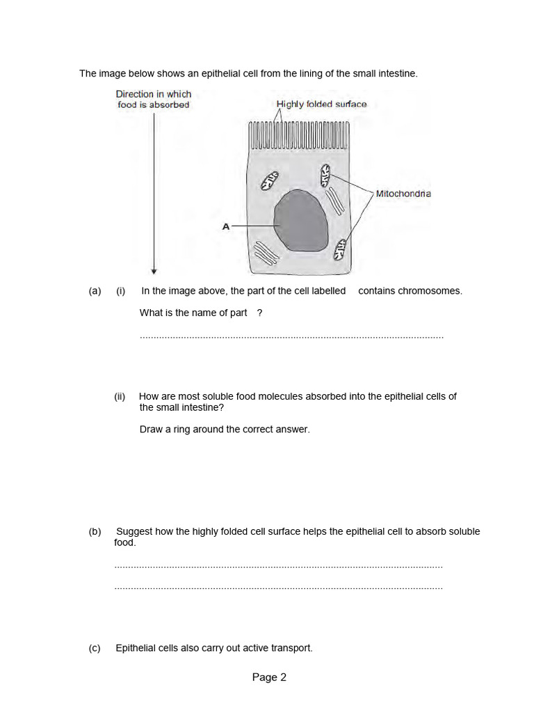Cell Structure 2 Qp Pdf