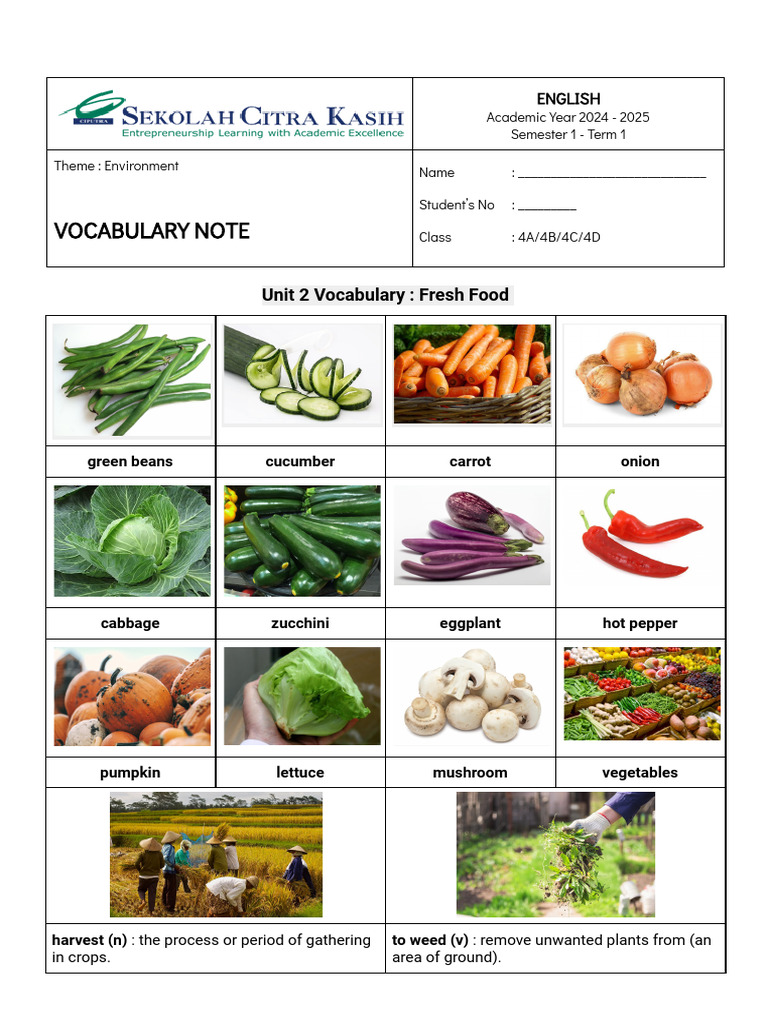 VOCABULARY NOTE | PDF
