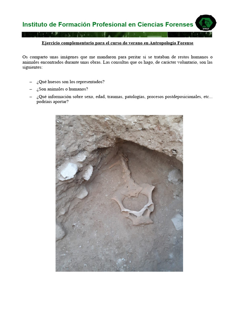 Ejercicio Complementario | PDF