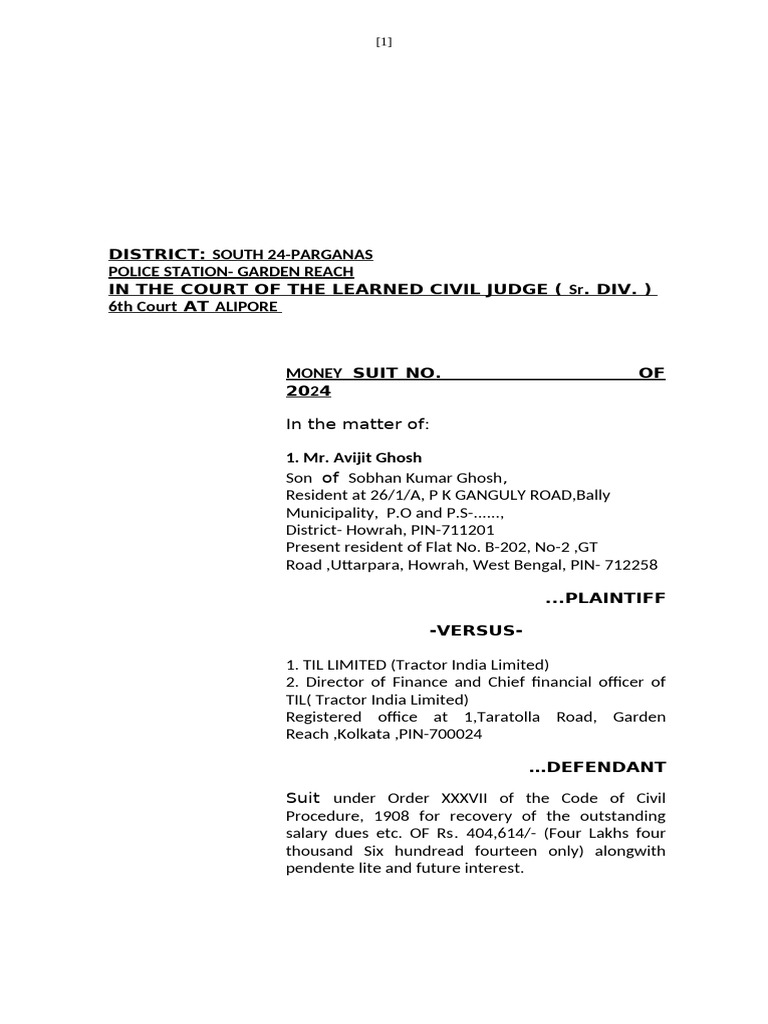 Summary Suit Avijit | PDF