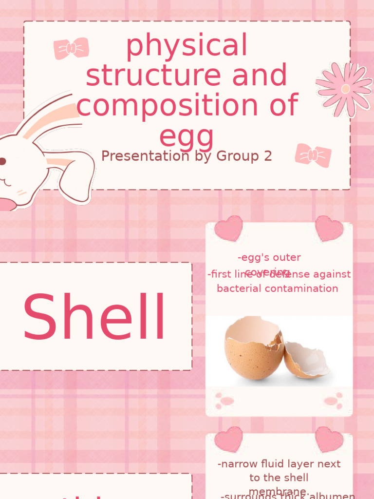 Physical Structure and Composition of Eggs Tle Group 2 | PDF