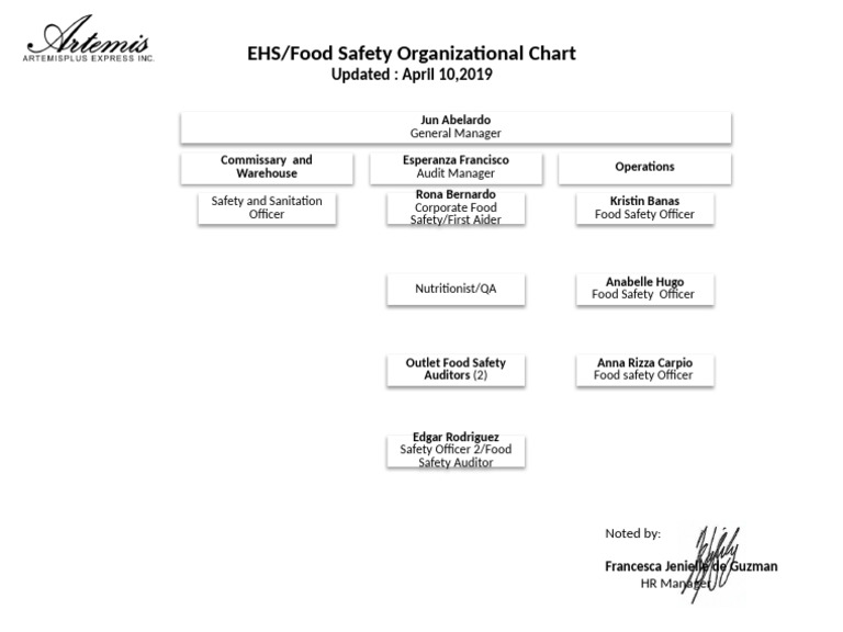 AEI SAFETY ORGANIZATION REV APRIL2019 | PDF