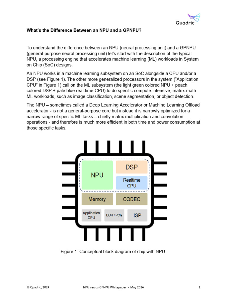 Difference NPU and GPNPU Whitepaper May2024 | PDF