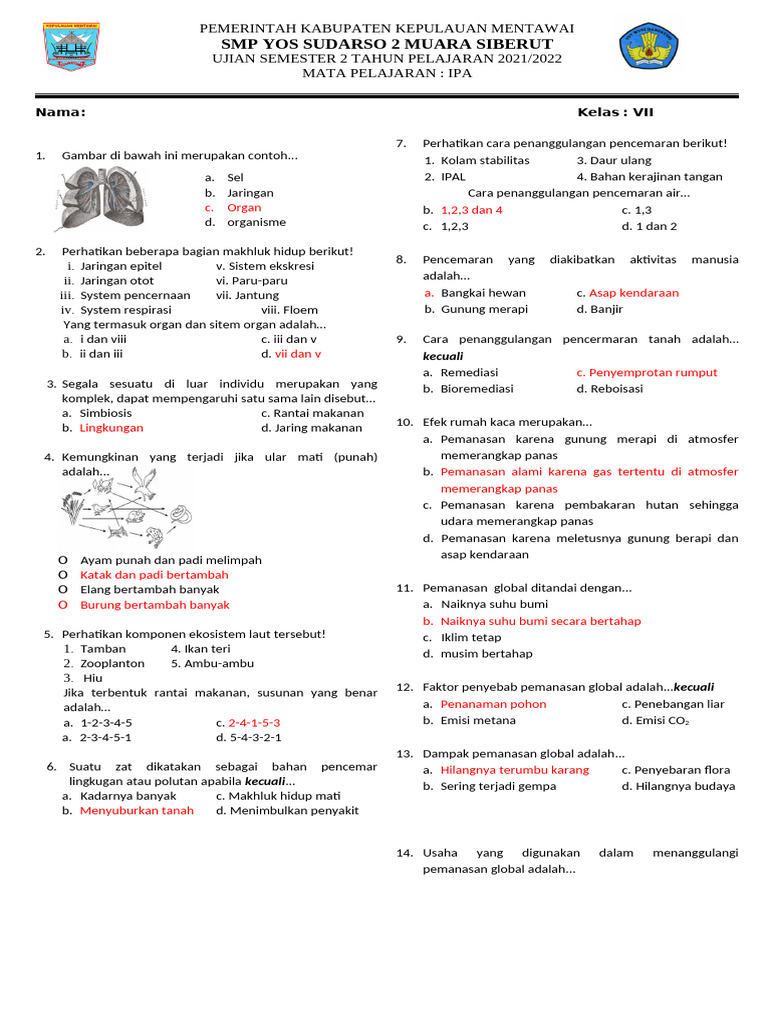 US2 2022 Tujuh | PDF