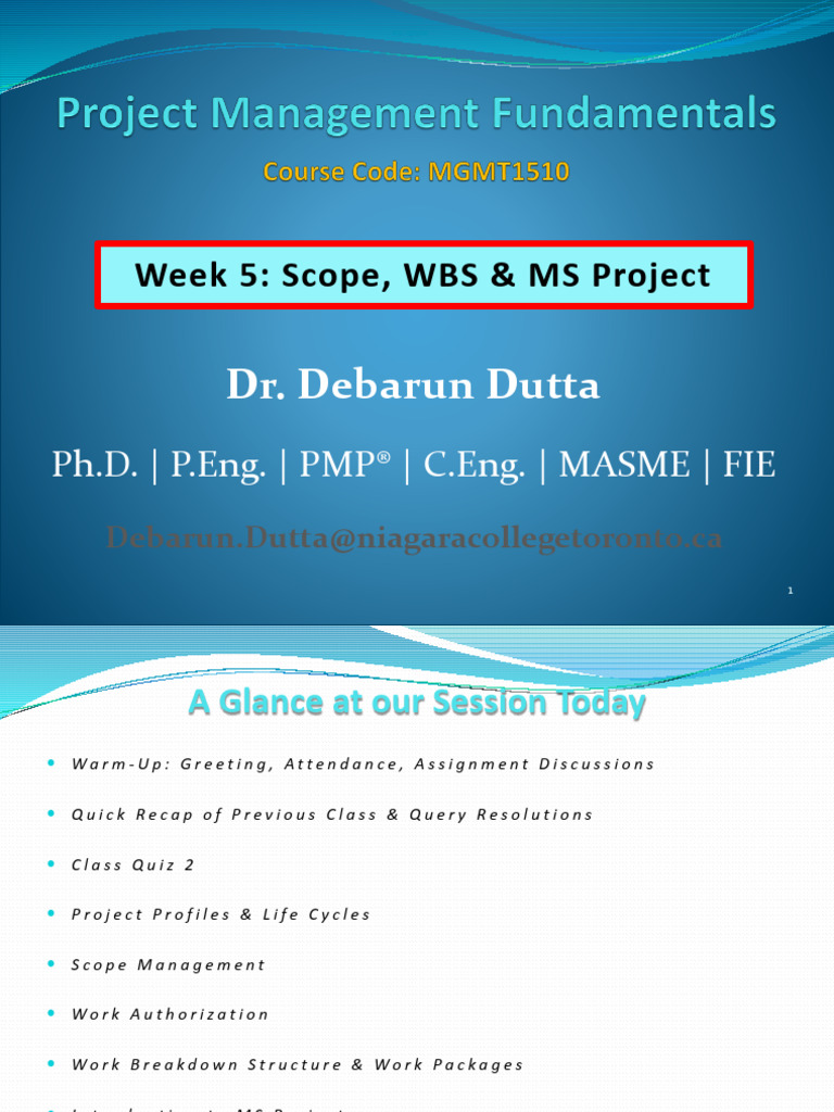 5-Scope, WBS & MS Project | PDF