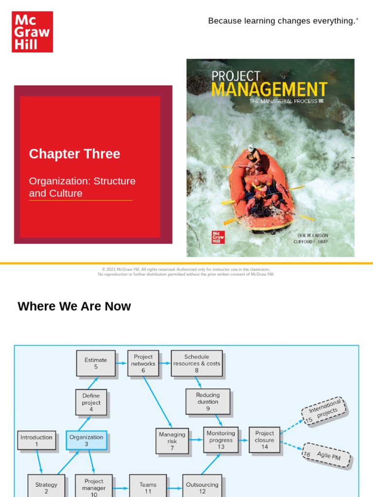 Week 3 Organization Structure and Culture | PDF