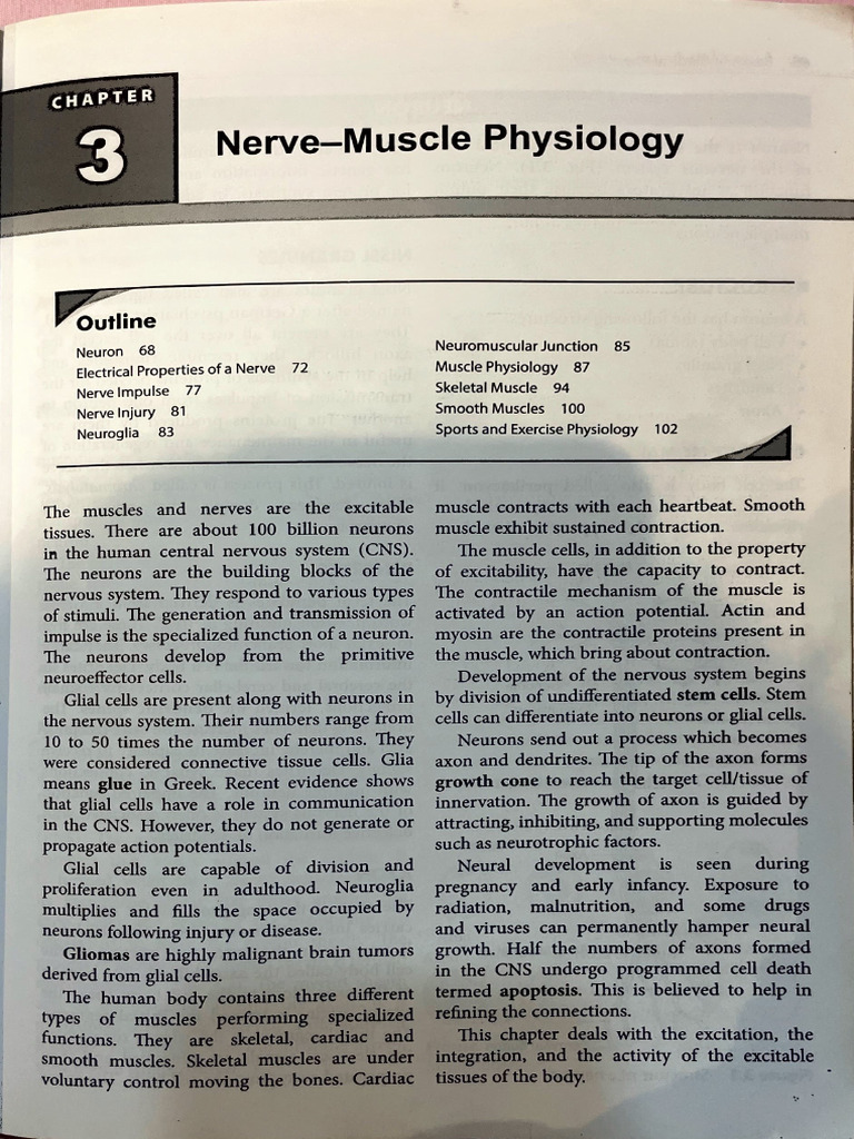 nerve muscle physiology | PDF