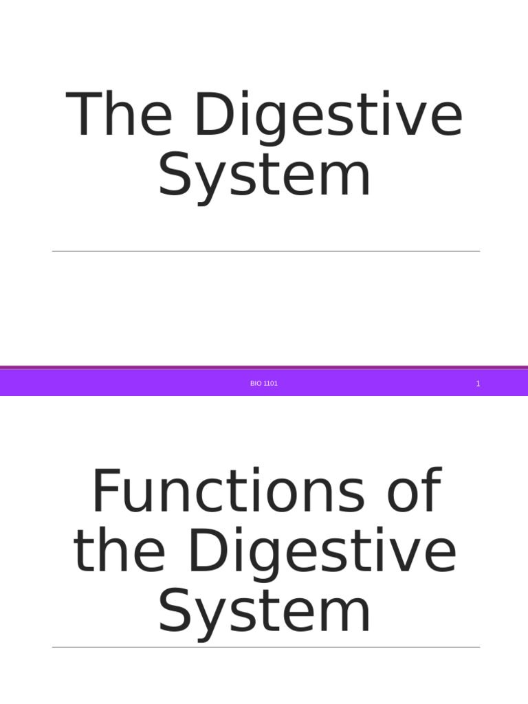 Bio 1101 Unit 6 Digestive | PDF