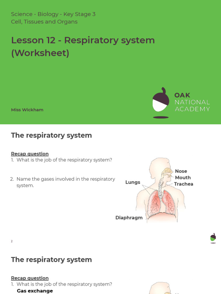 Science Key Stage 3 Lesson SCIy7u2L12 (1) | PDF