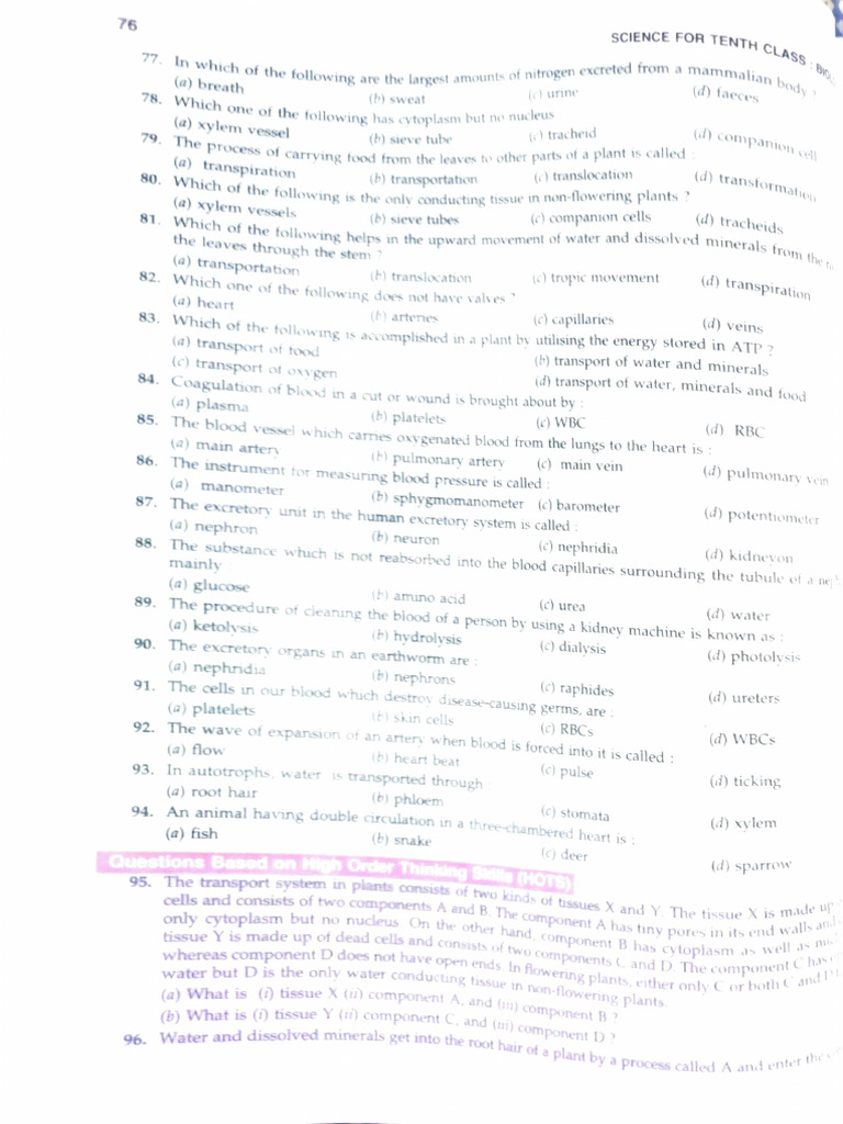 Class 10th Bio Xtra Questions Transport and Excreation Part2 | PDF