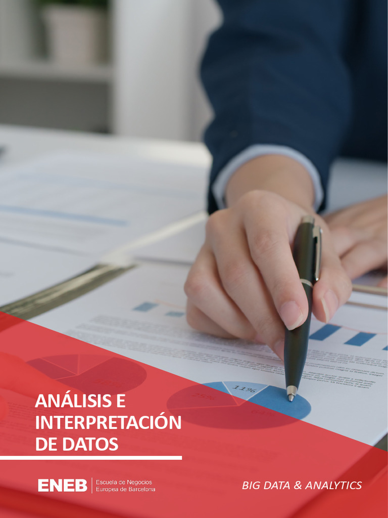 Analisis e Interpretacion de Datos - Eneb | PDF