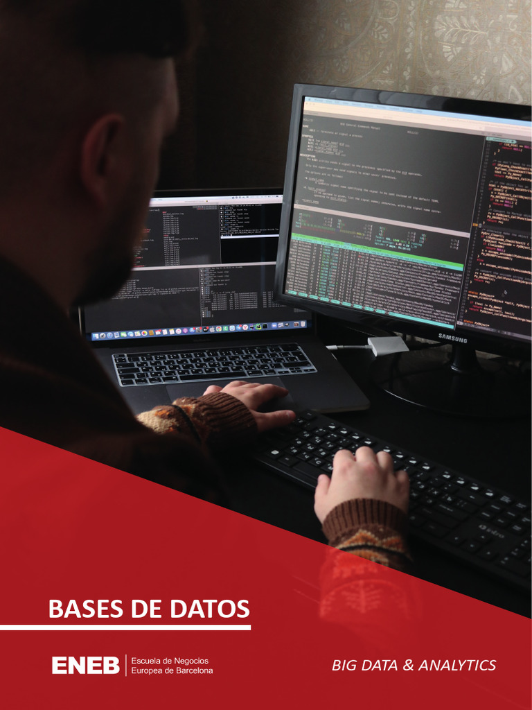 Bases de Datos - ENEB | PDF