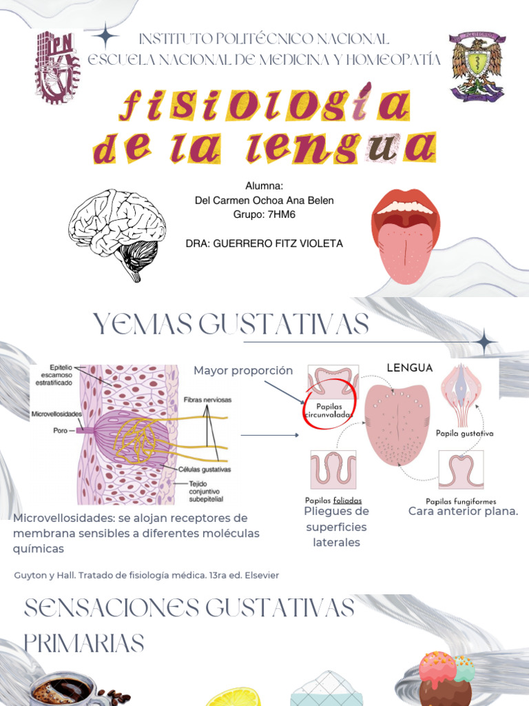 Fisiología de La Lengua | PDF