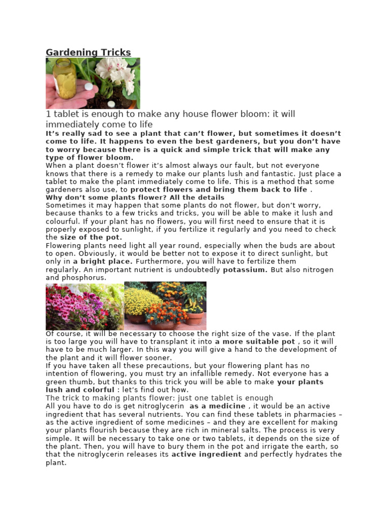 One Tablet For Blossom Flowers | PDF