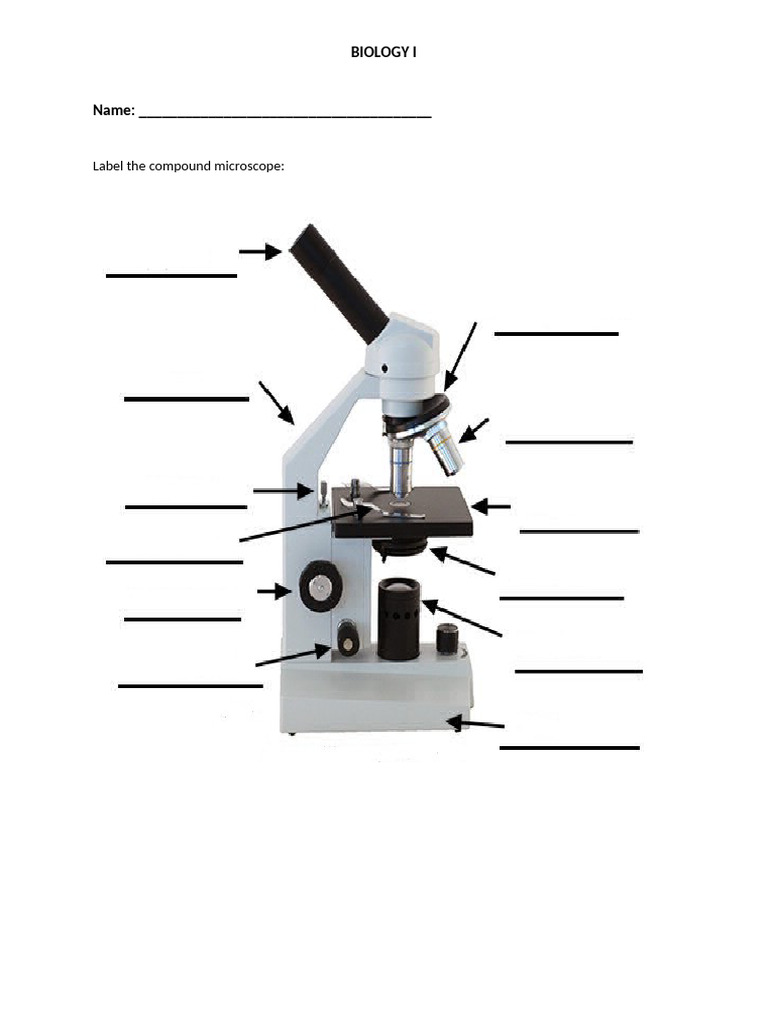 compound microscope_biology 1 | PDF